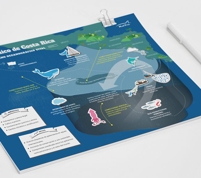 Infographics – LUMA Communications